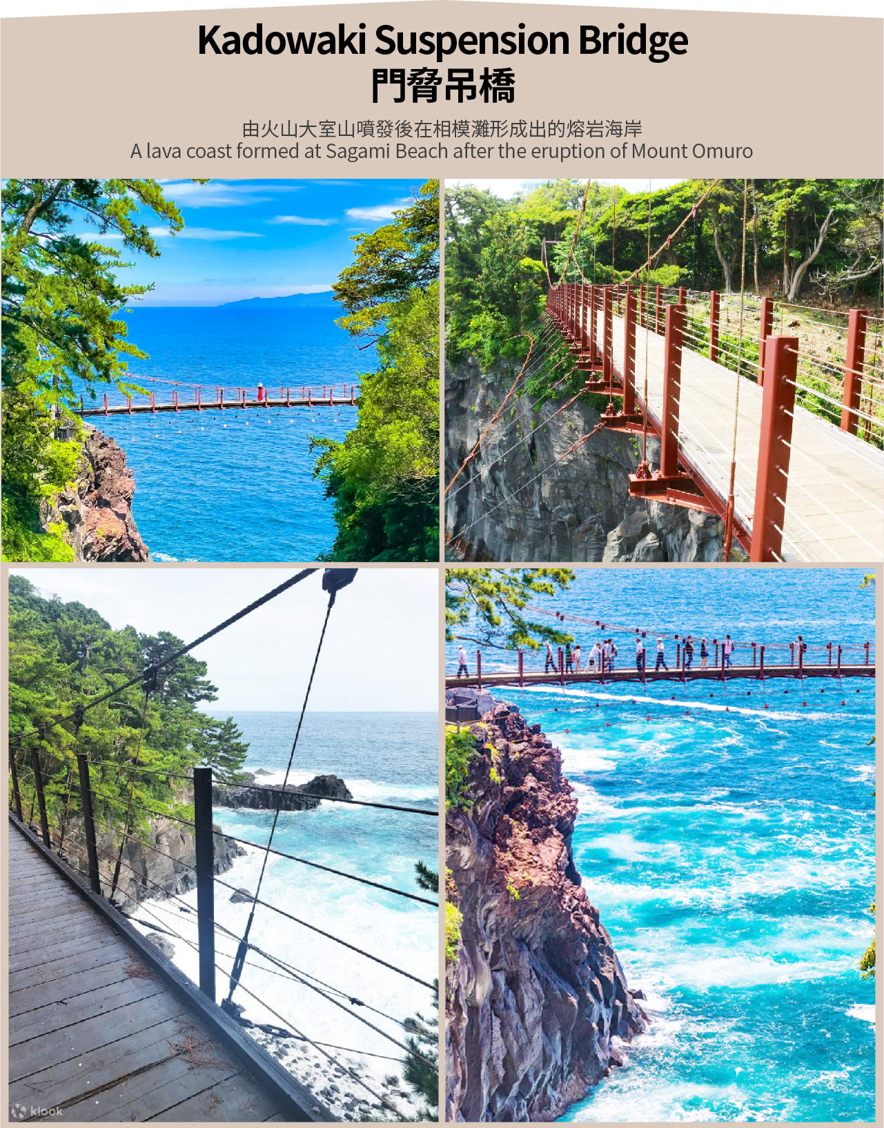 [2025 Early Spring Cherry Blossom Limited] Kawazu Sakura Festival ...